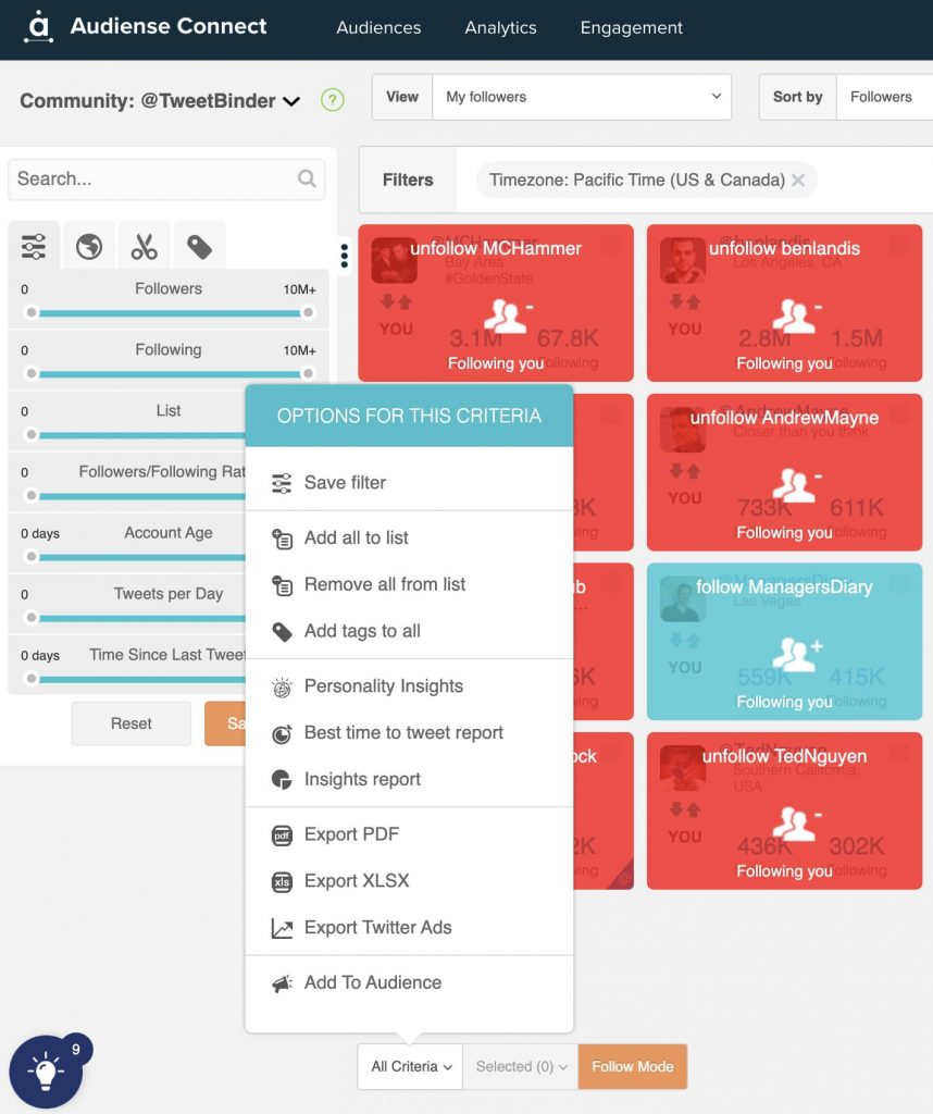 X / Twitter Follower Demographics