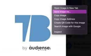 How to download tweets on Twitter - Tweet Binder